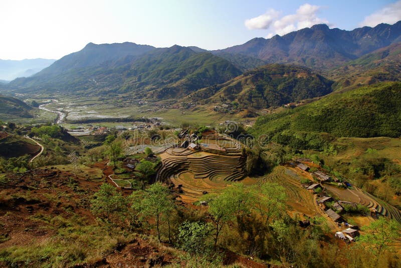Terrace rice fields stock photo. Image of beautiful - 107281316