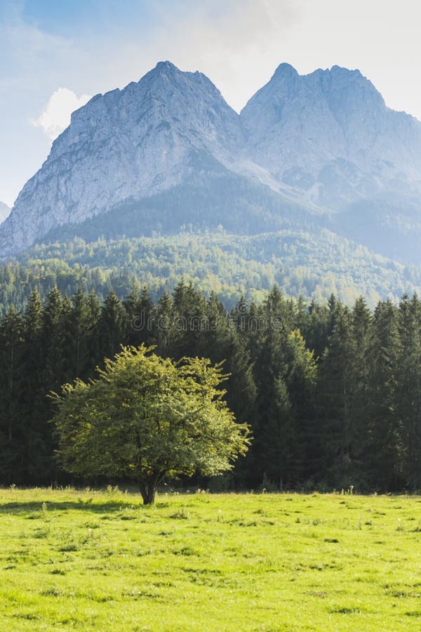 Landscape View Bavarian Alps in Germany, Europe Stock Photo - Image of ...