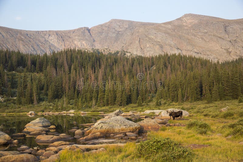 Lake Landscape in Mount Evans Wilderness Stock Image - Image of stormy ...