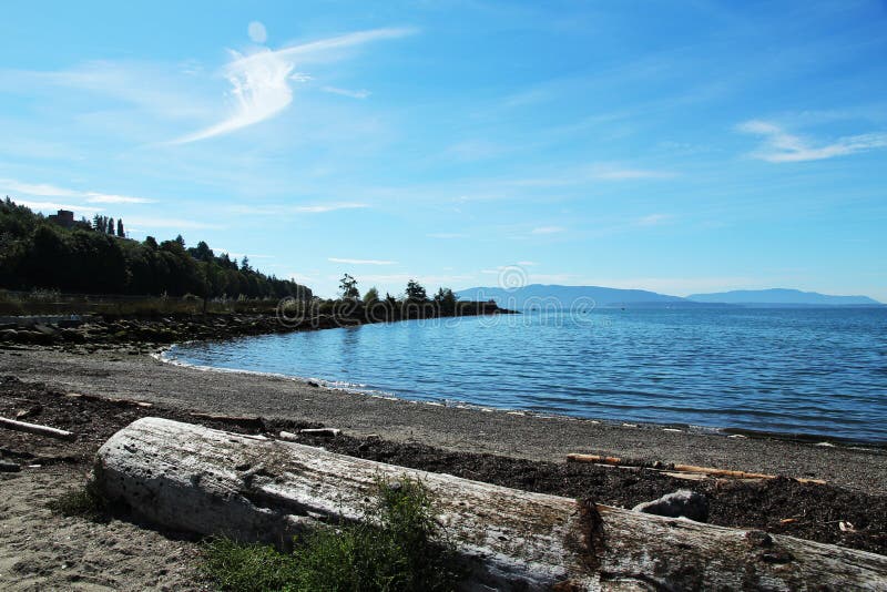 Landscape View in Bellingham Stock Image - Image of bush, trees: 39943547
