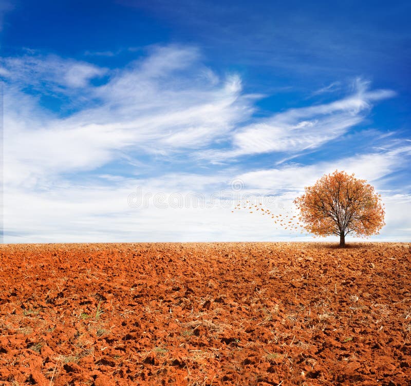 Landscape View,blue Sky ,Autumn , Use As Background Stock Photo - Image ...