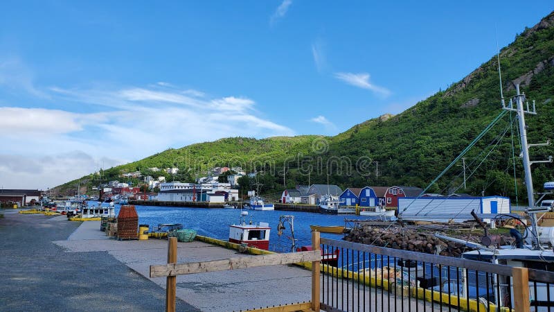 Landscape View of the Busy Harbor with Buildings and Lush Trees in the ...