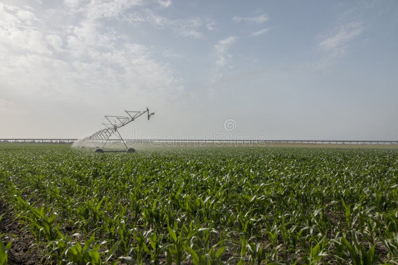 430 Pivot Irrigation Corn Stock Photos - Free & Royalty-Free Stock ...