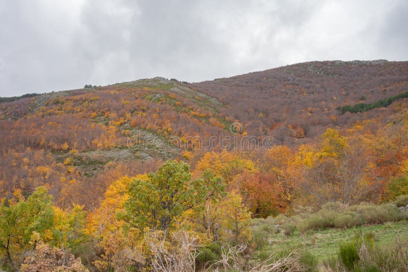 Landscape View of Fall Foliage, Beautiful Scenery Stock Photo - Image ...