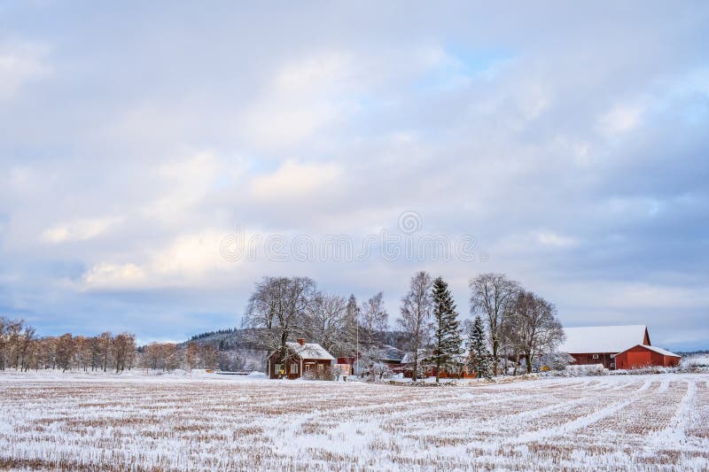 Landscape View at a Farm on a Field with Snow and Frost Stock Image ...