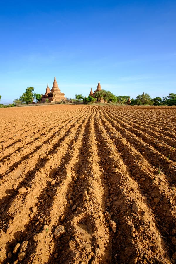 Landscape View of Field and Temples in Bagan Area, Myanmar Stock Image ...