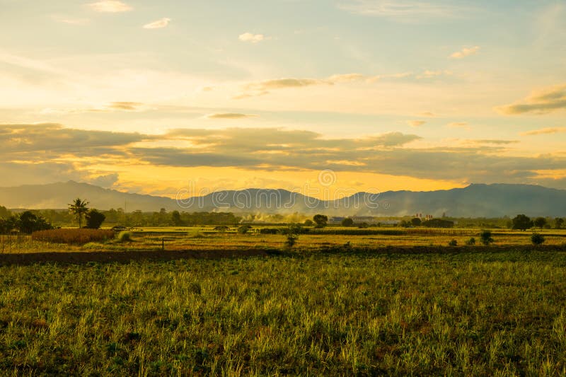 Landscape View of the the Field in Thailand Stock Image - Image of ...