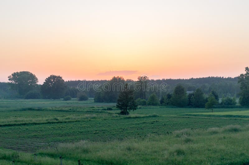 Landscape View on Field and Trees at Sunset Time Stock Image - Image of ...