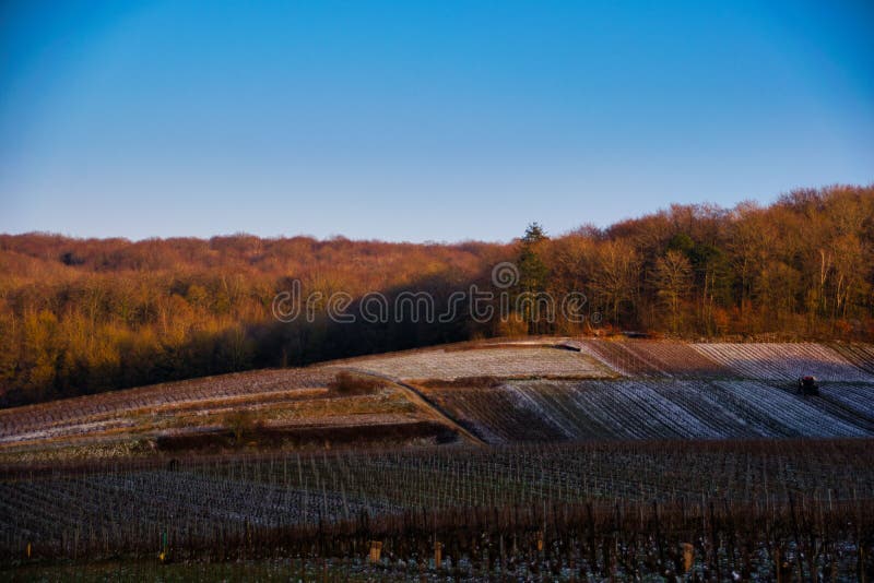 Landscape View of the Fields on the Countryside Stock Photo - Image of ...