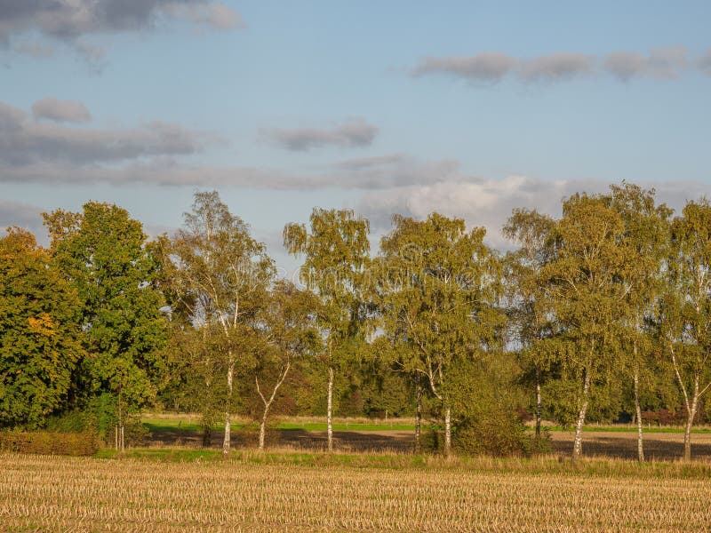 Landscape View of the Fields in Muensterland, Westphalia. Germany Stock ...