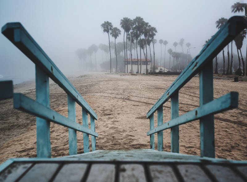 Landscape View of the Fog Over the Palm Trees Stock Image - Image of ...
