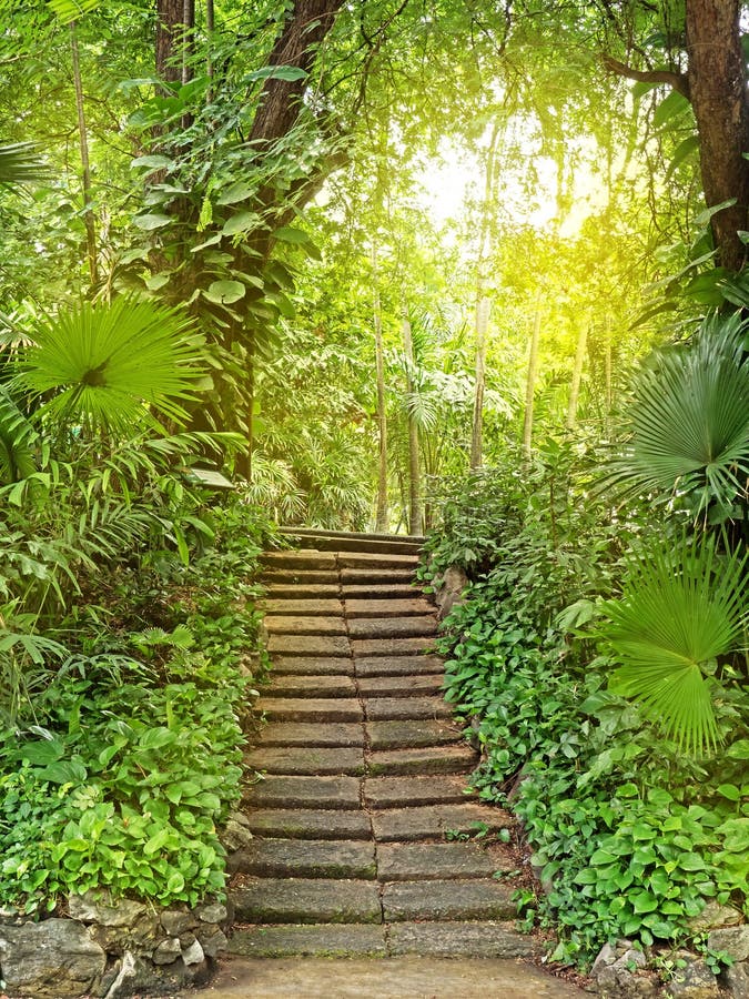 Landscape View of Footpath on Tropical Garden with Sunlight Stock Photo ...
