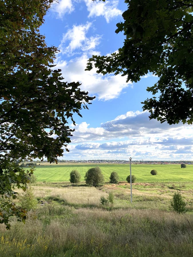 Landscape. the View from the Forest To the Open Space of the Field and ...