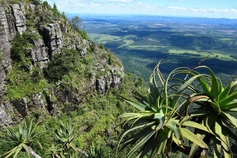 Landscape View at God S Window in South Africa Stock Image - Image of ...