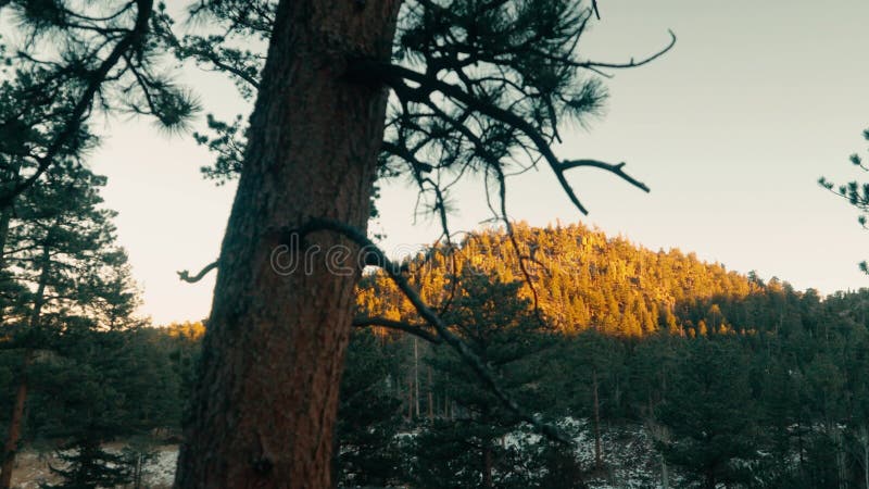 Landscape View of a Golden-lit Mountain Captured through the Silhouette ...