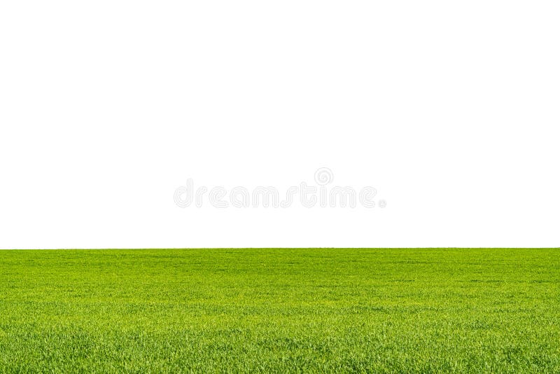 Landscape View of Green Grass on Field Isolated on White Background ...