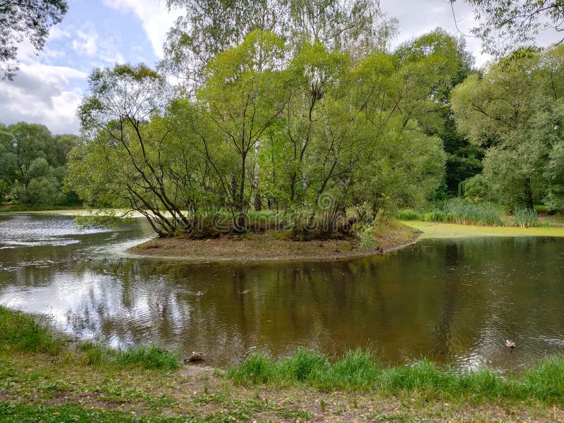 Landscape View of a Green Park with Pond Stock Photo - Image of island ...