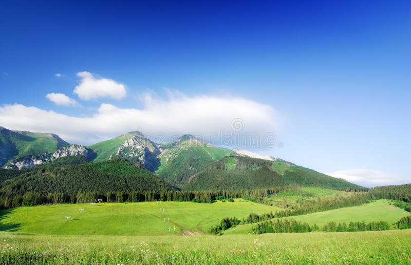 Landscape, View of Green Rolling Fields Stock Image - Image of clear ...