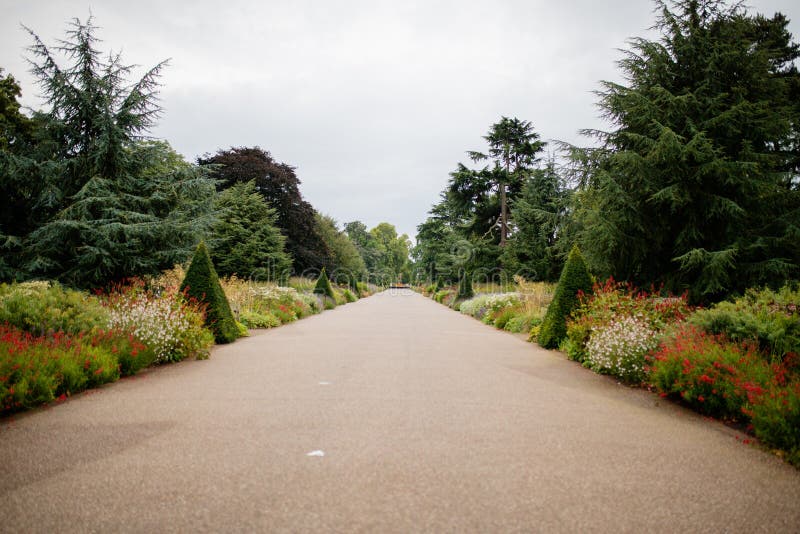 Landscape View of a Long Path Surrounded by Trees and Under a Cloudy ...