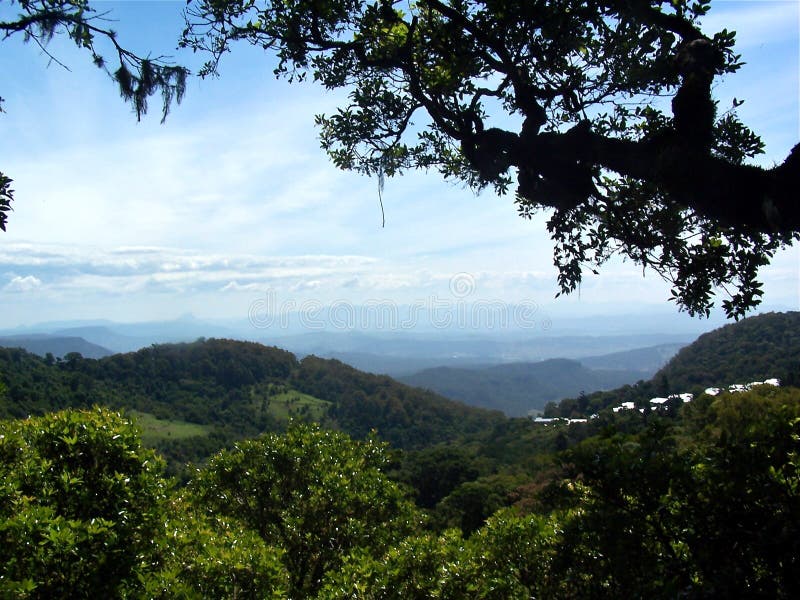 Landscape view stock image. Image of rainforest, mountain - 66592261