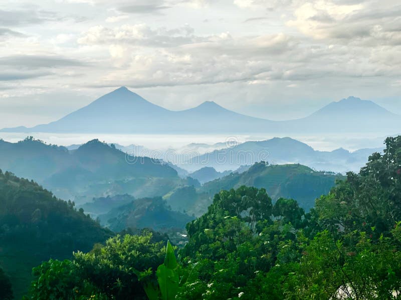 Misty Mountains - Virunga Mountain Range Stock Image - Image of view ...