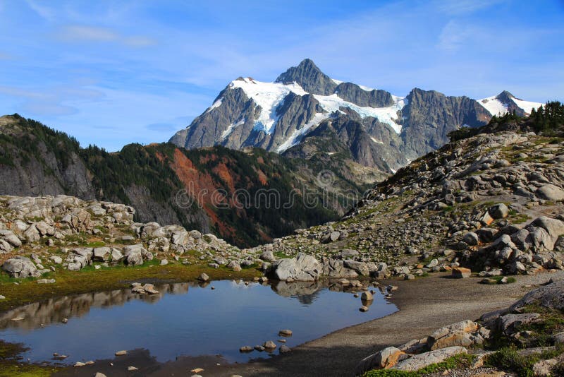 Landscape View of Mount Baker Stock Photo - Image of walk, trees: 39943556