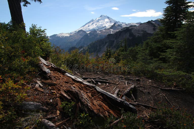 Landscape View of Mount Baker Stock Photo - Image of state, walk: 39943566