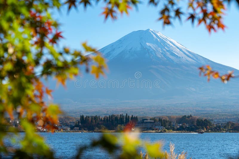 Landscape of View the Mount Fuji and Bright Red Maple Leaf Frame Stock ...