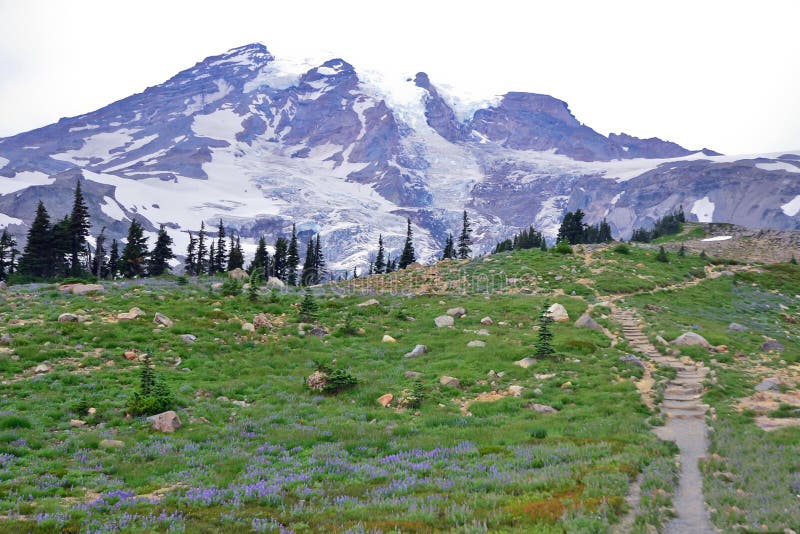 Landscape View of Mt. Rainier during Spring Time Stock Image - Image of ...
