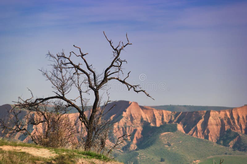Landscape View Nature Madrid Spain Enviroment Stock Photo - Image of ...
