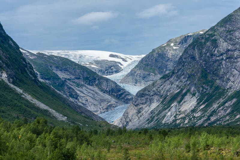 Landscape View of the Nigardsbreen Melting Glacier and the Forest in ...