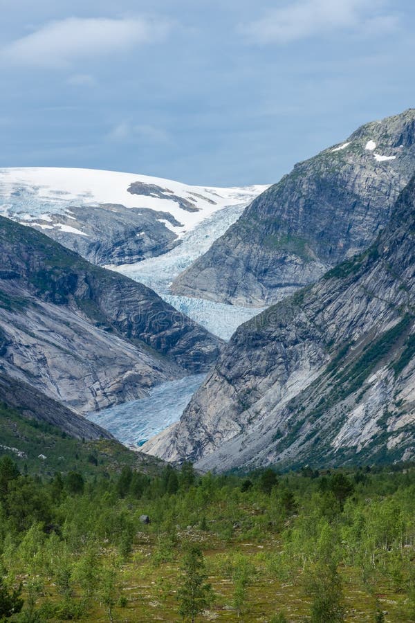 Landscape View of the Nigardsbreen Melting Glacier and the Forest in ...