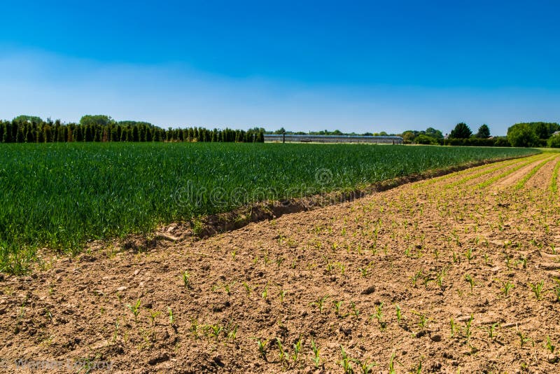 Landscape View Over Farmers Land and Fields Stock Image - Image of ...
