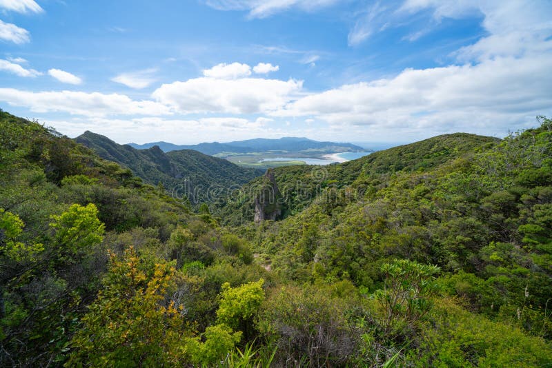 Landscape View Over Forest and Native Bush from Side of Mount Hobson ...