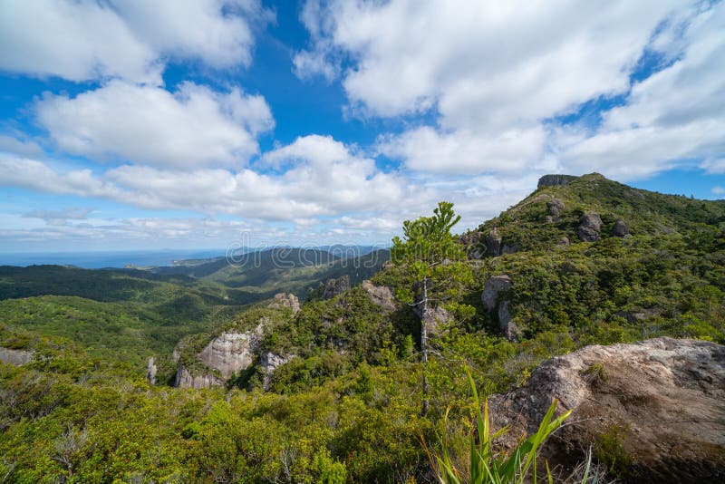 Landscape View Over Forest and Native Bush from Side of Mount Hobson ...