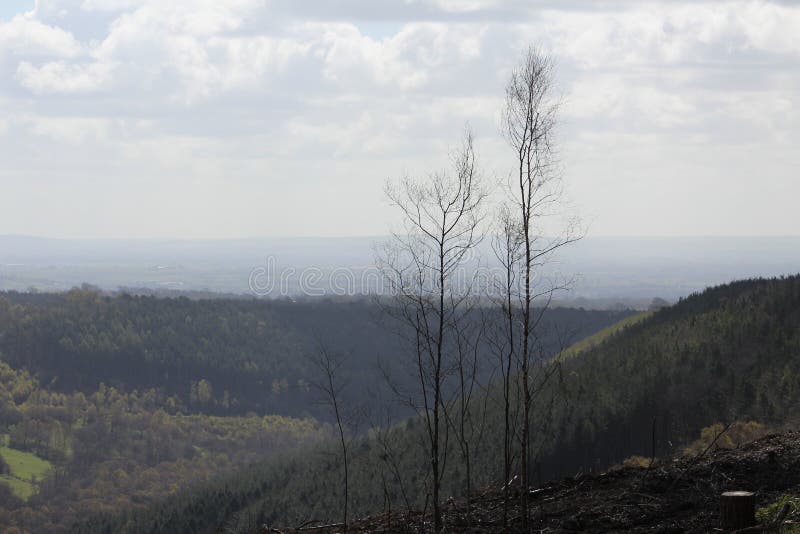 Landscape View Over the Valley with Trees Stock Image - Image of valley ...