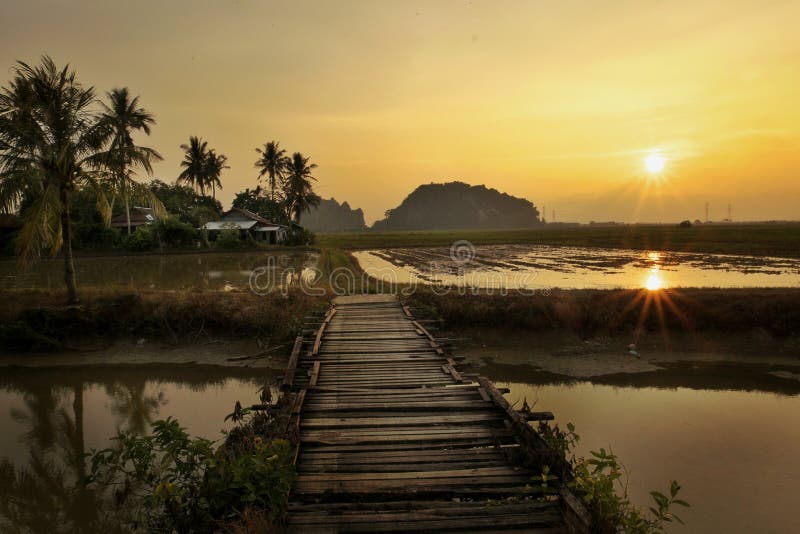 Landscape View Of Paddy Fields,small Village,mountain,bridge,river ...