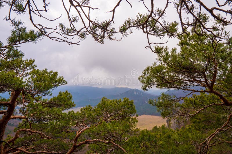 Landscape View with Ram-shaped Trees with an Overcast Arch Stock Photo ...