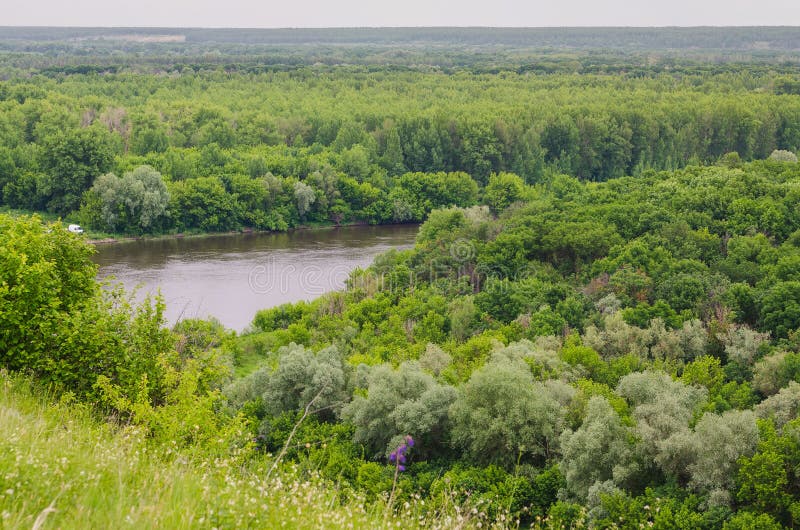 Landscape View on a River and Forest Stock Image - Image of horizon ...
