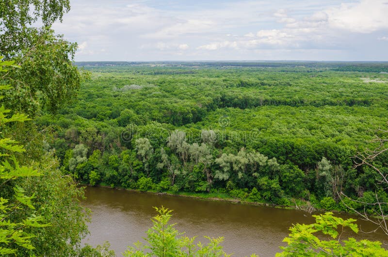 Landscape View on a River and Forest Stock Image - Image of plant ...