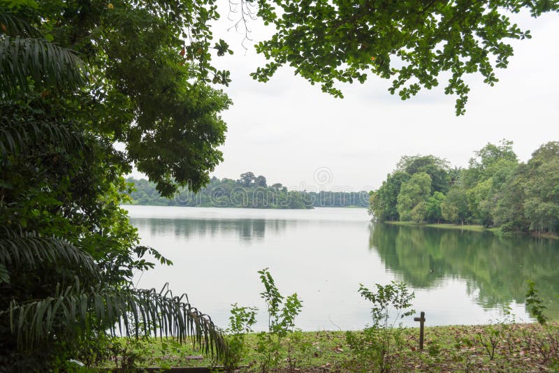 Landscape View of River and Forest with Blue Sky Stock Image - Image of ...