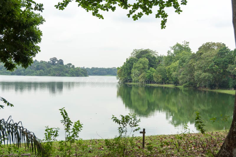 Landscape View of River and Forest with Blue Sky Stock Image - Image of ...