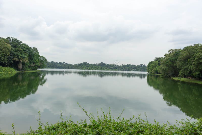 Landscape View of River and Forest with Blue Sky Stock Photo - Image of ...
