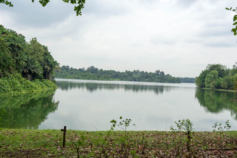 Landscape View of River and Forest with Blue Sky Stock Image - Image of ...