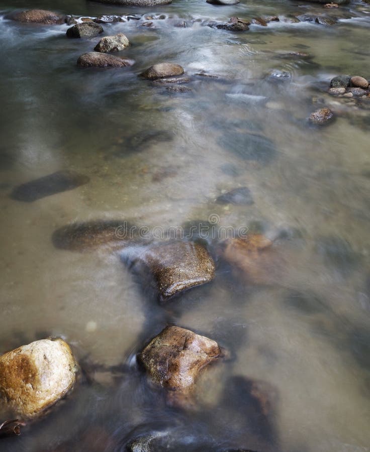 Landscape View of River in a Forest Stock Image - Image of malaysia ...