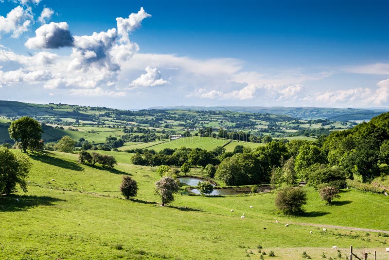 Green Fields and Pastures of Rural England. Stock Photo - Image of ...