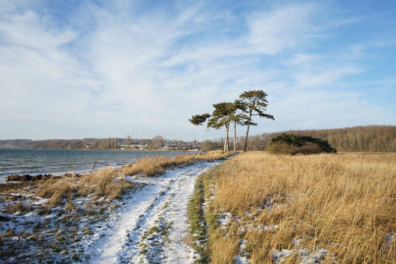 Landscape View of a Snowy Path on the Beach on a Sunny Day Stock Photo ...