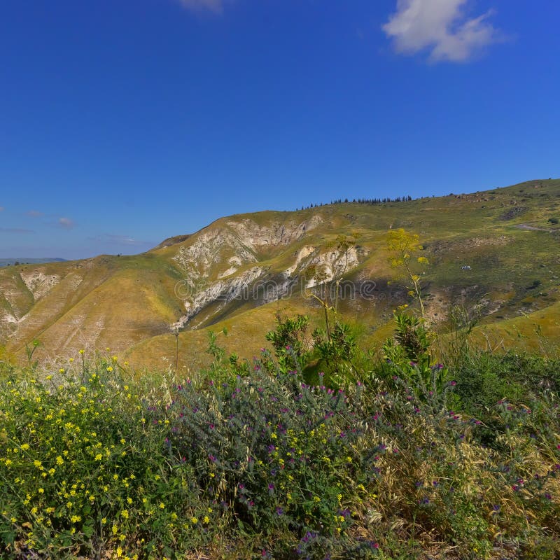 Landscape View of Spring in the Golan Heights Israel Stock Photo ...