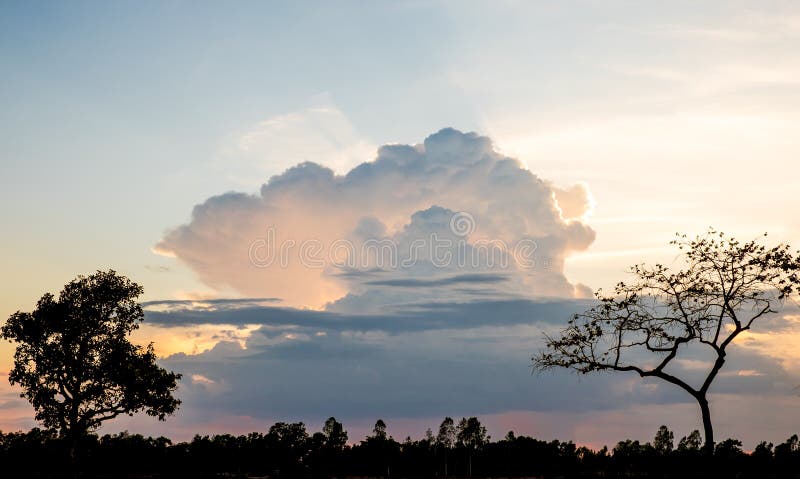 Landscape View of Sunset Behind Big Cloud with Tree at Foreground Stock ...