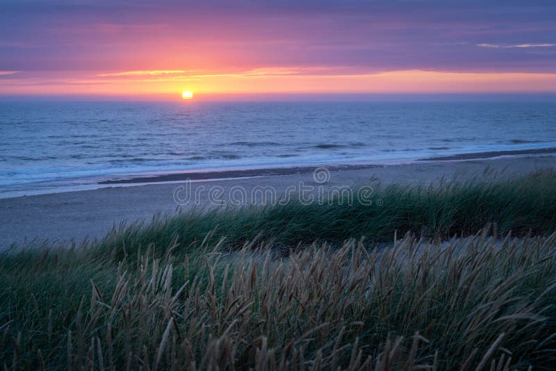 Landscape View of the Sunset at North Sea in Denmark with Dune Grass in ...